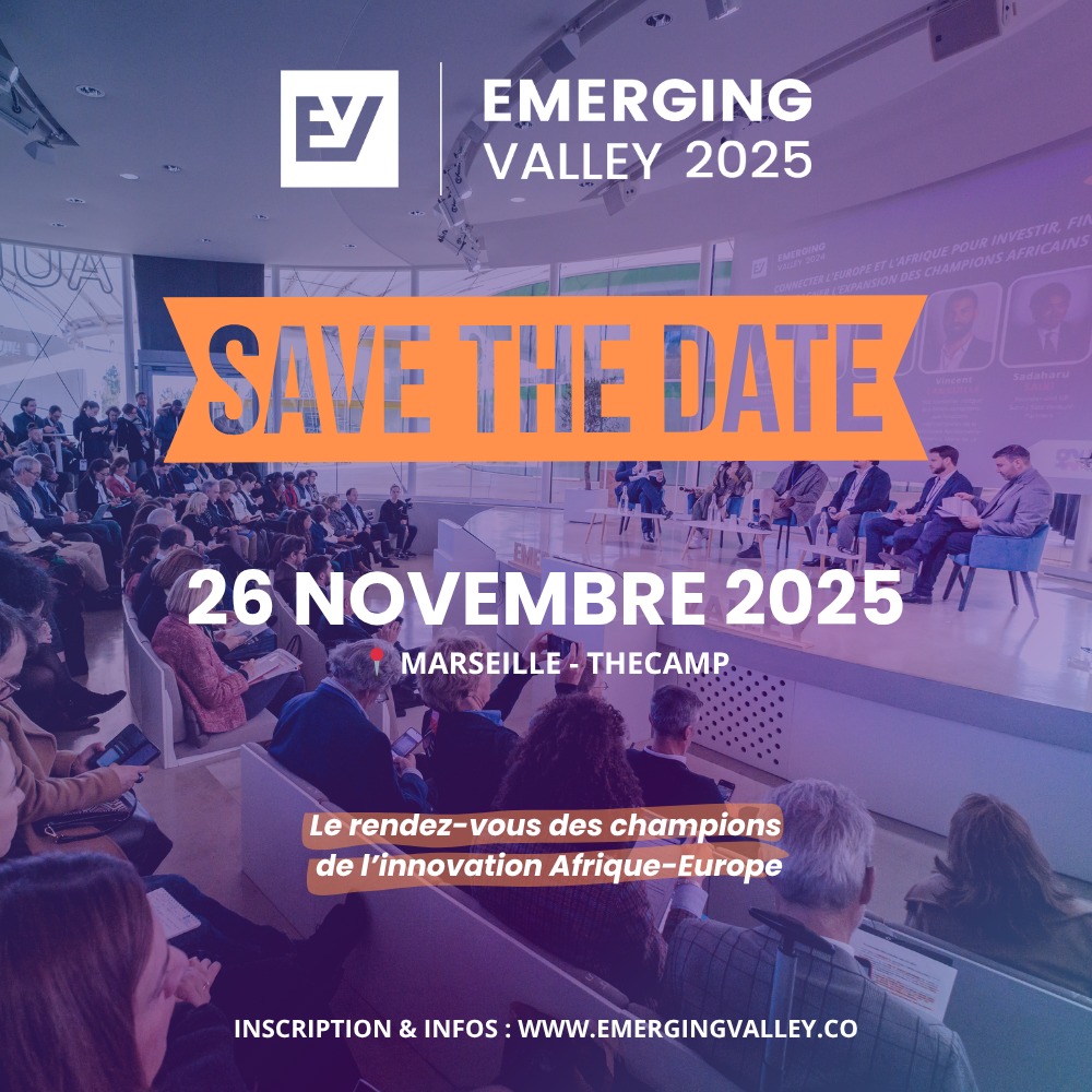 Africa-Europe Innovation Platform – Connecting stakeholders of the ...